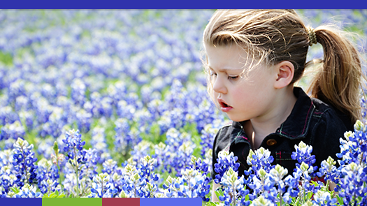 Home : TMHP Learning