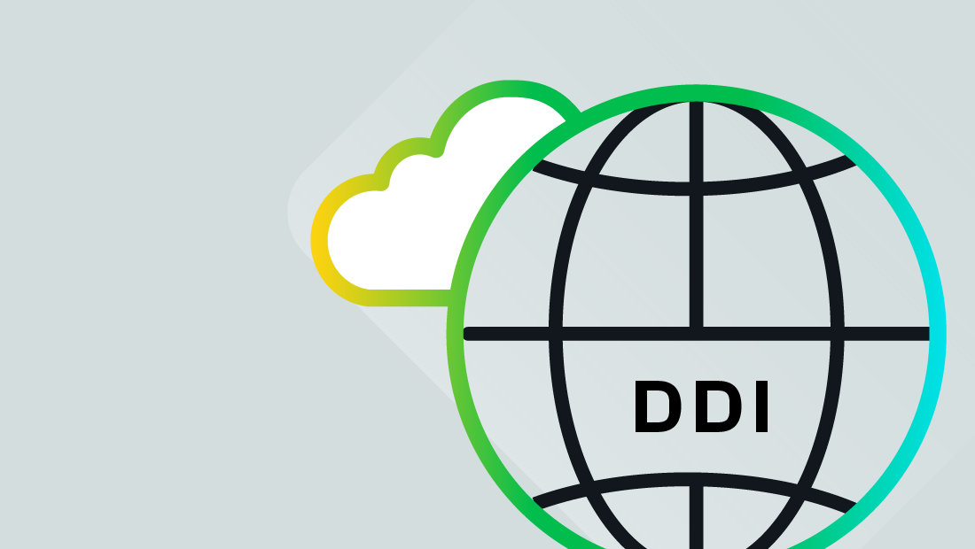 DNS, DHCP, and IPAM (DDI) : Infoblox Education