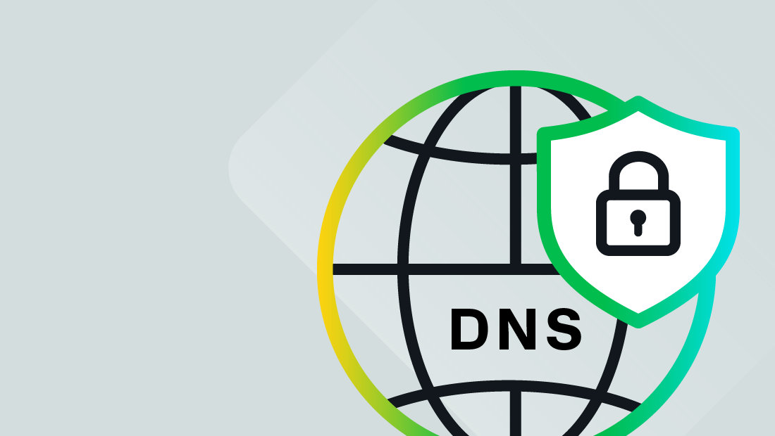 DNS Security : Infoblox Education