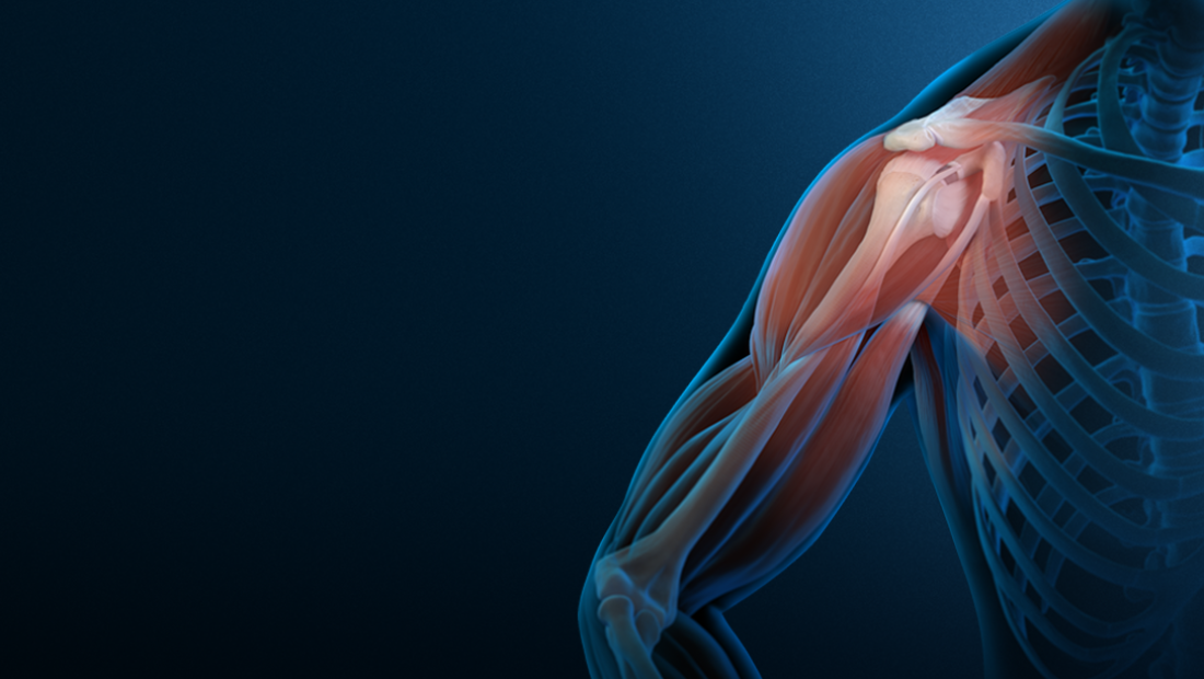 Home : OrthoPedia Academics