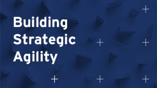 Building Strategic Agility: Course Overview : Duke Corporate Education