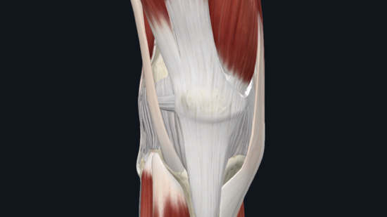 Extensor Mechanism Pathologies : OrthoPedia