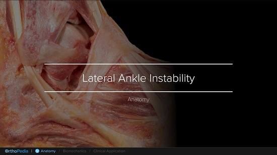 Anatomy of the Foot and Ankle With Lateral Ankle Instability : OrthoPedia