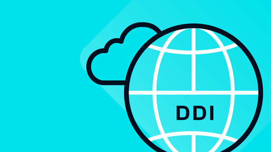 DDI Associate : Infoblox Education