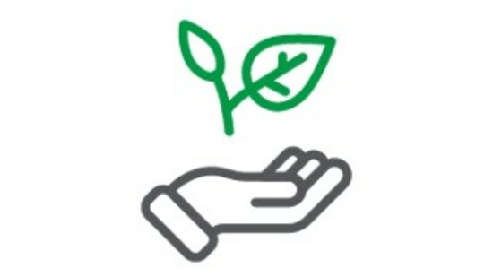 Data Literacy (Data Newcomer Plan) - Week 2: Decision Frameworks : Qlik