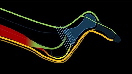 Anatomy of the Foot With Lesser Toe Pathologies : OrthoPedia Academics