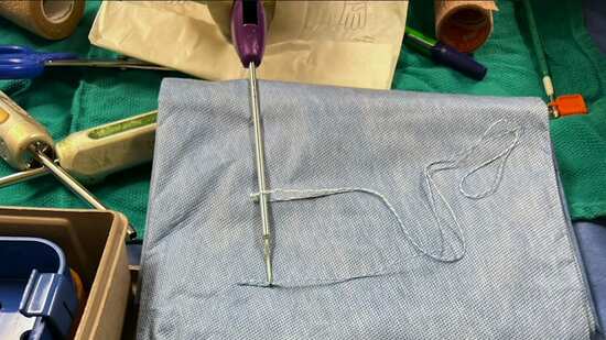 Dr. Lee Demonstrates Tips and Pearls for Biceps Tendinopathy: A Quick ...