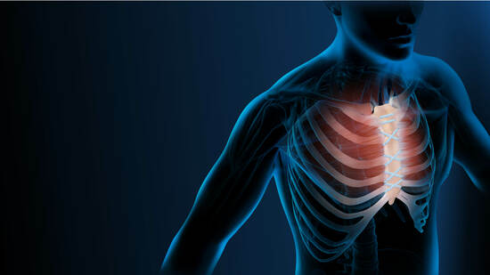 Cardiothoracic Surgery : OrthoPedia