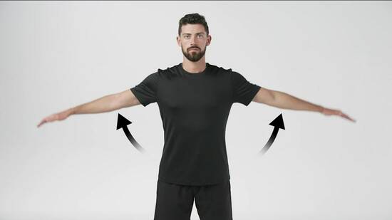 Standing Lateral Arm Raises : OrthoPedia Patient