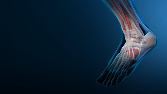 Foot and Ankle : OrthoPedia Academics