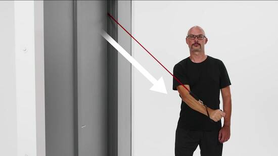 Standing High to Low Diagonal Palm Back With Resistance : OrthoPedia ...