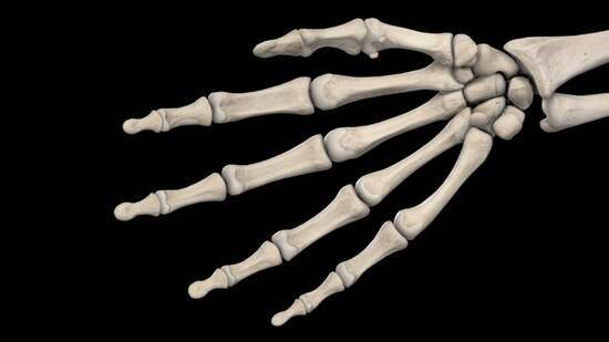Hand and Finger Fractures : OrthoPedia Patient