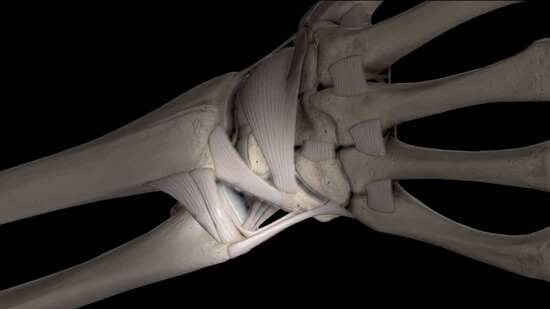 Triangular Fibrocartilage Complex (TFCC) Tears: Overview : OrthoPedia ...