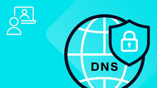 DSA-WS: What is Protective DNS? : Infoblox Education