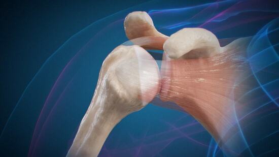 Shoulder Joint Cartilage Injuries: Overview : OrthoPedia Patient