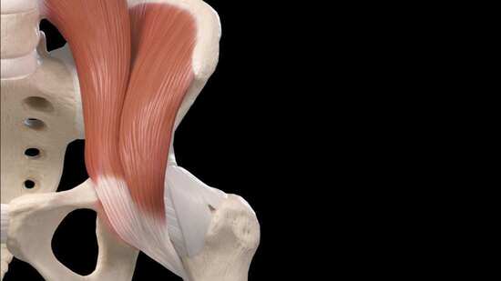 Internal Snapping Hip Syndrome: Treatment Options : OrthoPedia Patient