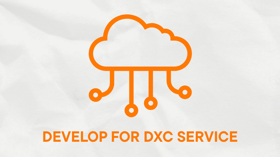 Develop for DXC service : Optimizely Academy