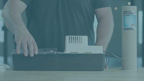 TIPS - Little Giant® Condensate Neutralizers : FranklinTECH