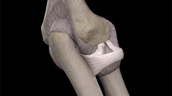 Lesiones del Ligamento Colateral Lateral del Codo: Visión General ...
